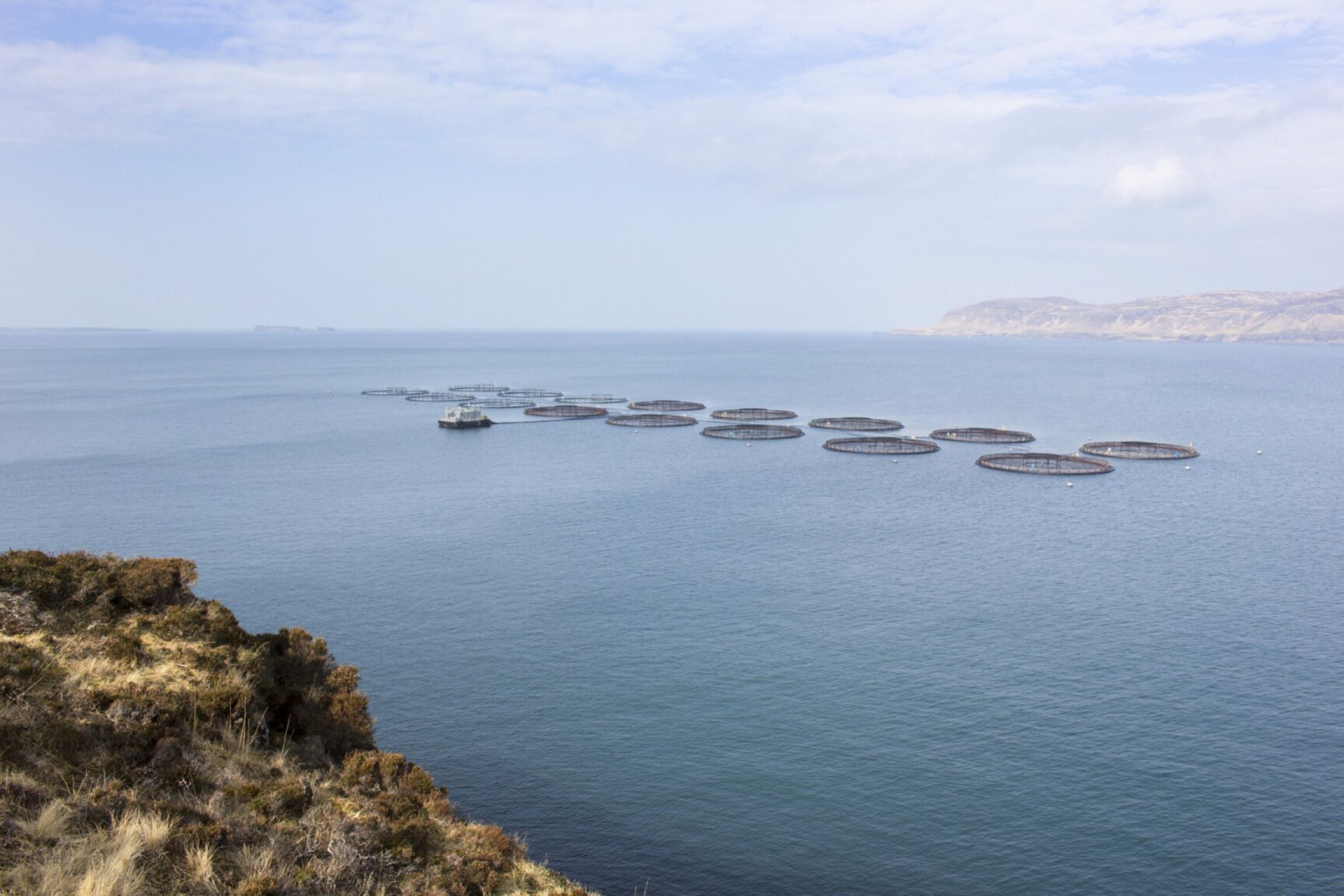 Salmon farming stalwart Gilpin Bradley announces retirement