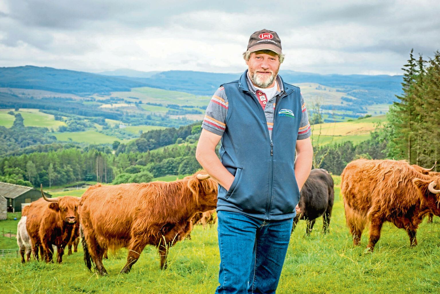 Concerns for beef industry as ABP buys two Scotbeef sites - Press and ...