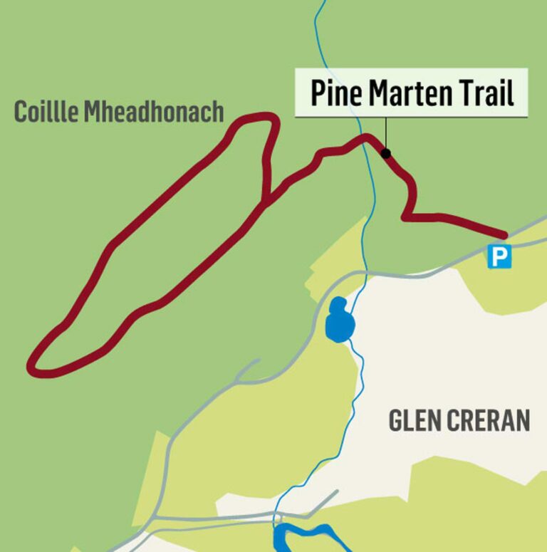 Reopening Pine Marten Trail will bring visitors back to Fairy Bridge