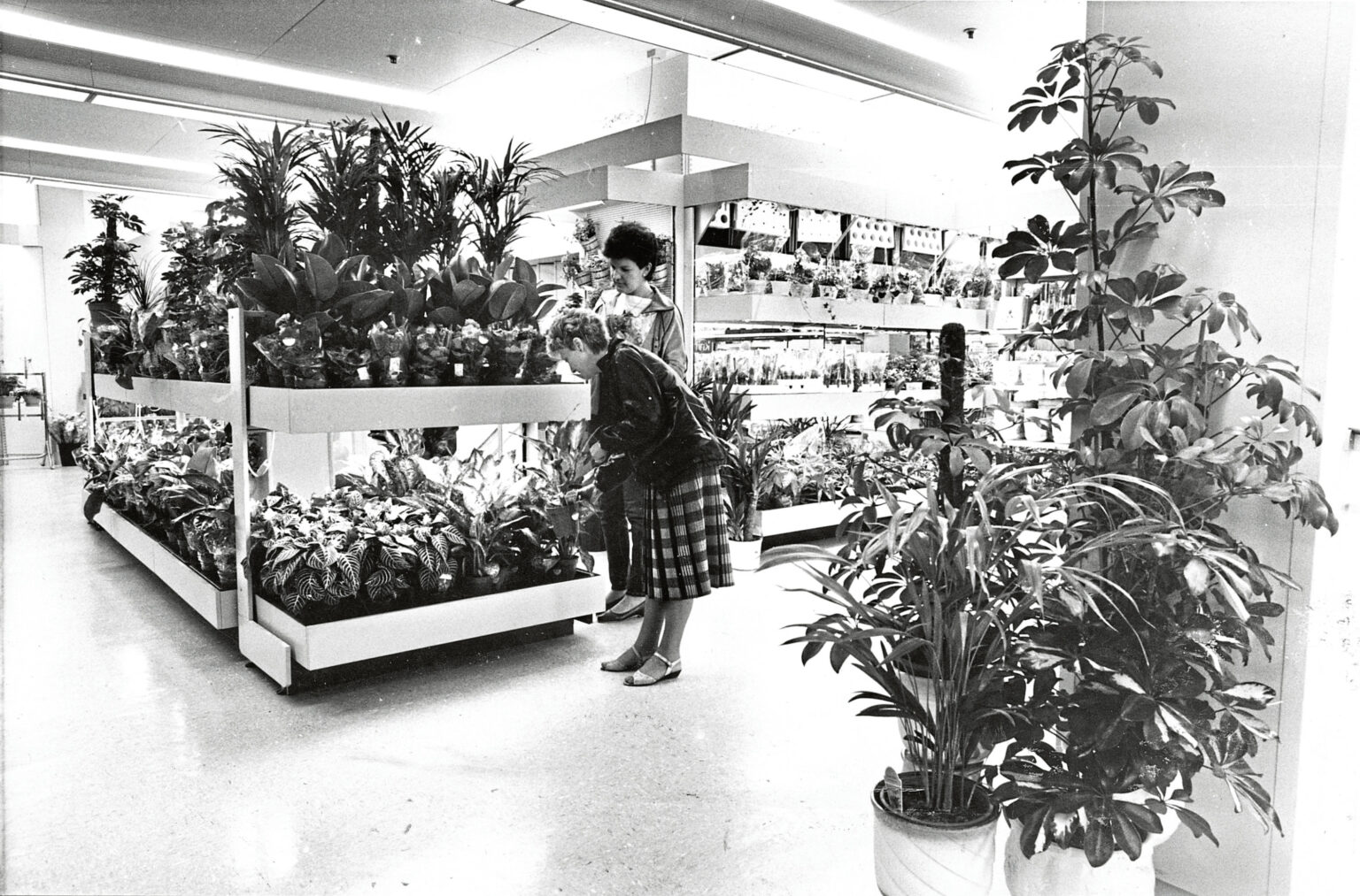 GALLERY: 16 photos of Littlewoods in Aberdeen through the years - Press ...