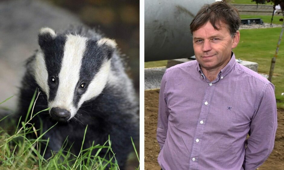 North-east building boss admits firm destroyed badger setts