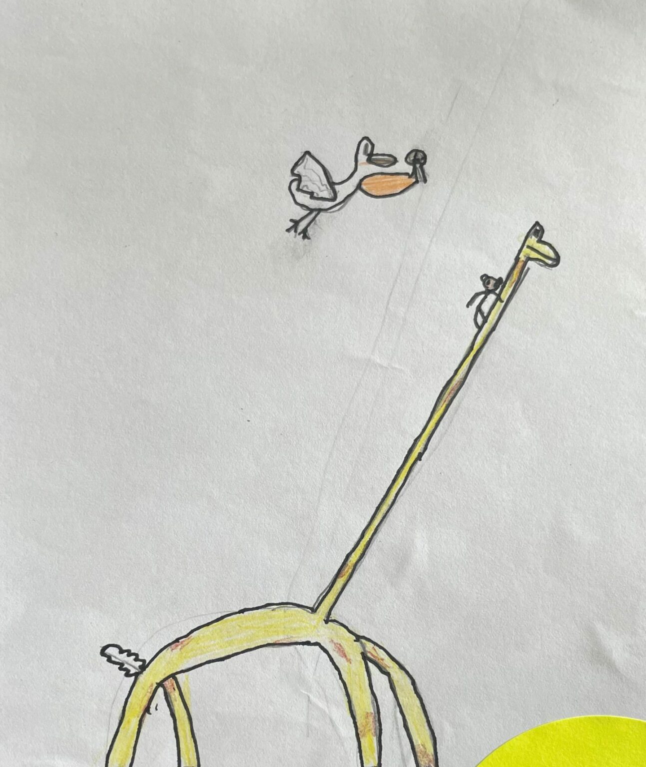 Roald Dahl Highland pupil drawings