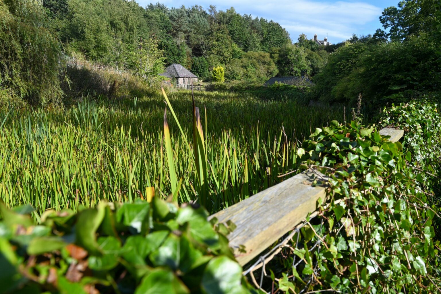 Mill of Benholm: Locals trying to revive historic Mearns attraction