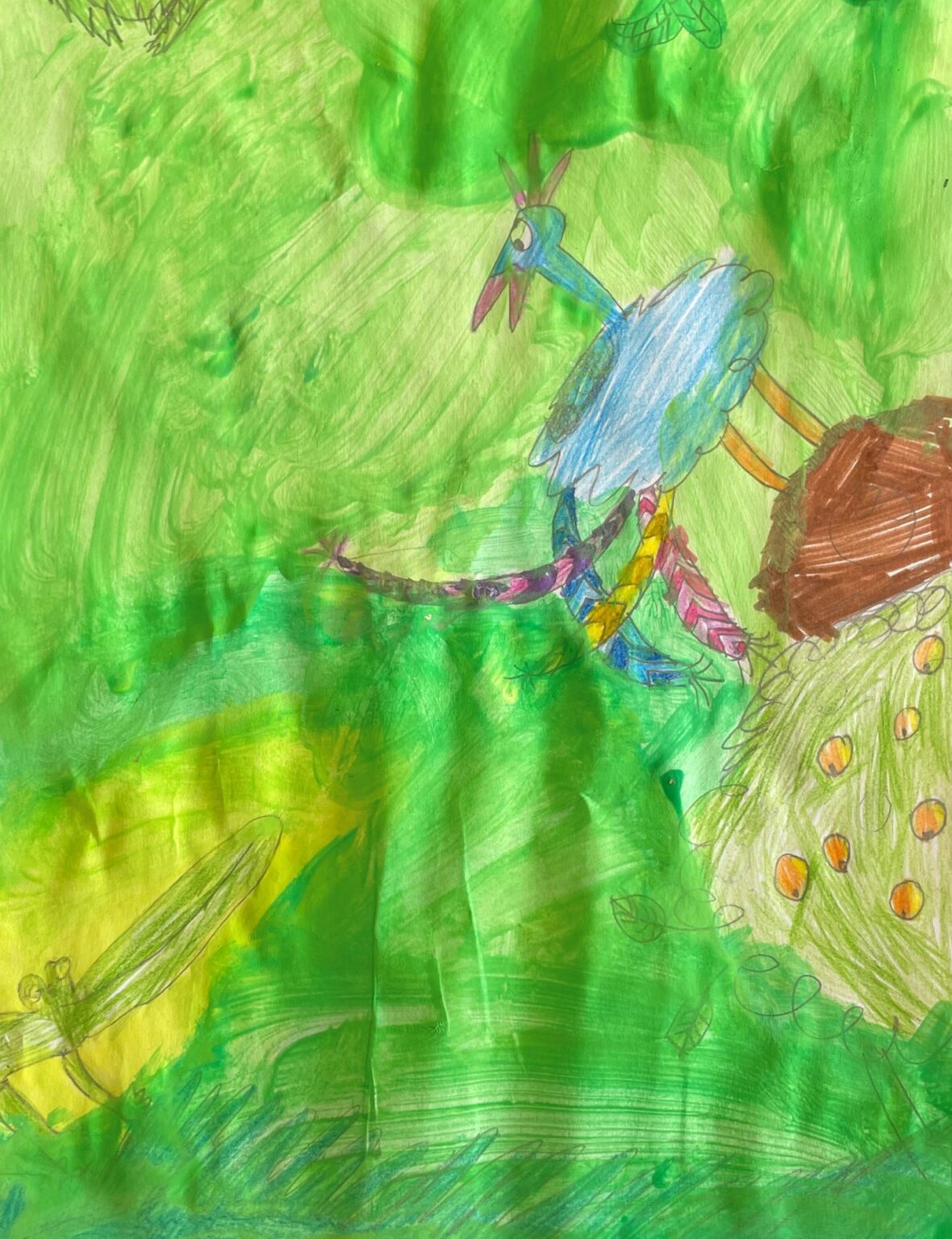 Roald Dahl Highland pupil drawings