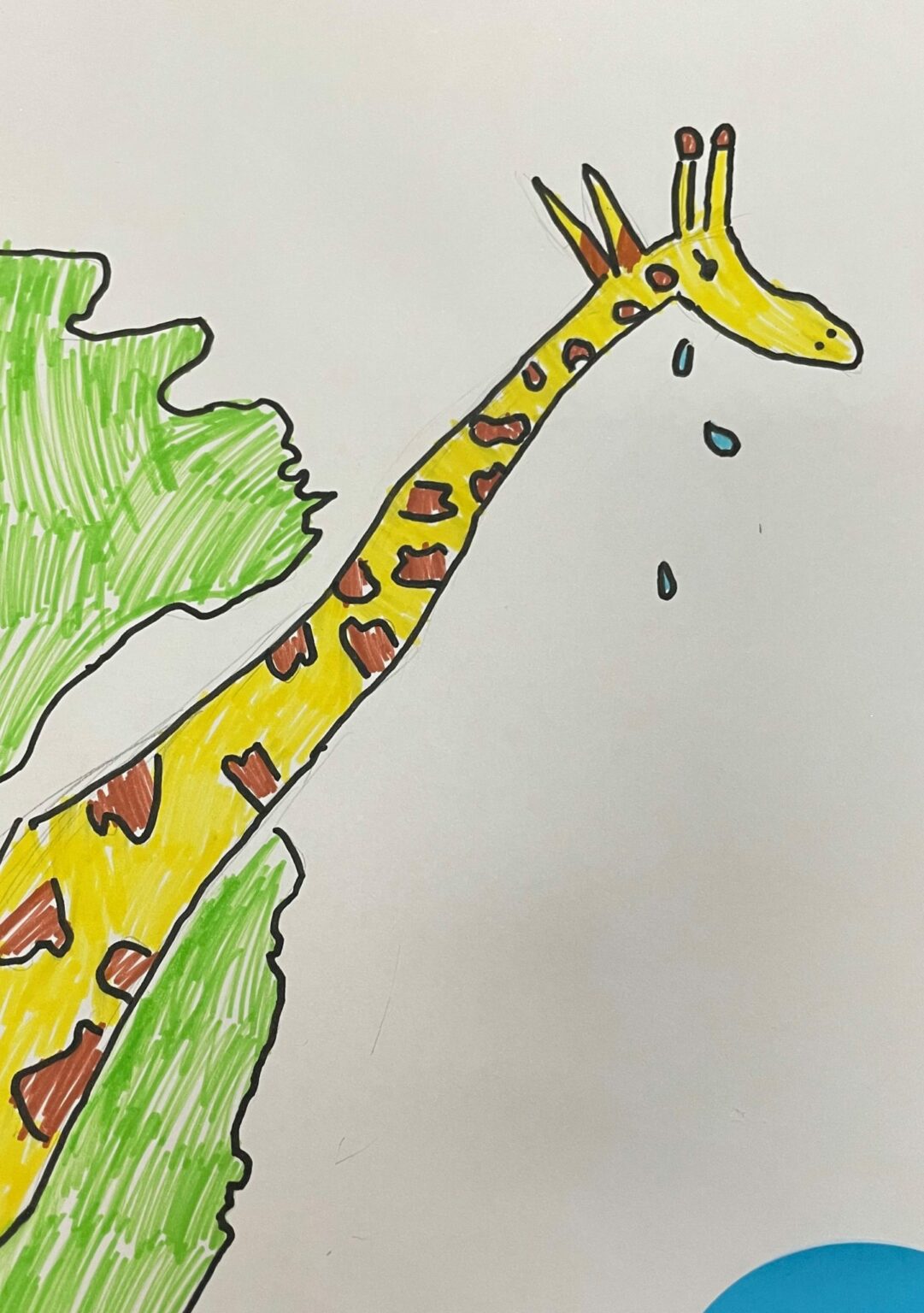 Roald Dahl Highland pupil drawings