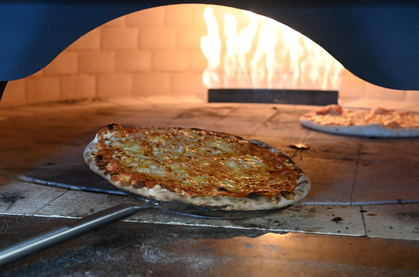 New 'Moossh cafe' plan for former Aberdeen TSB