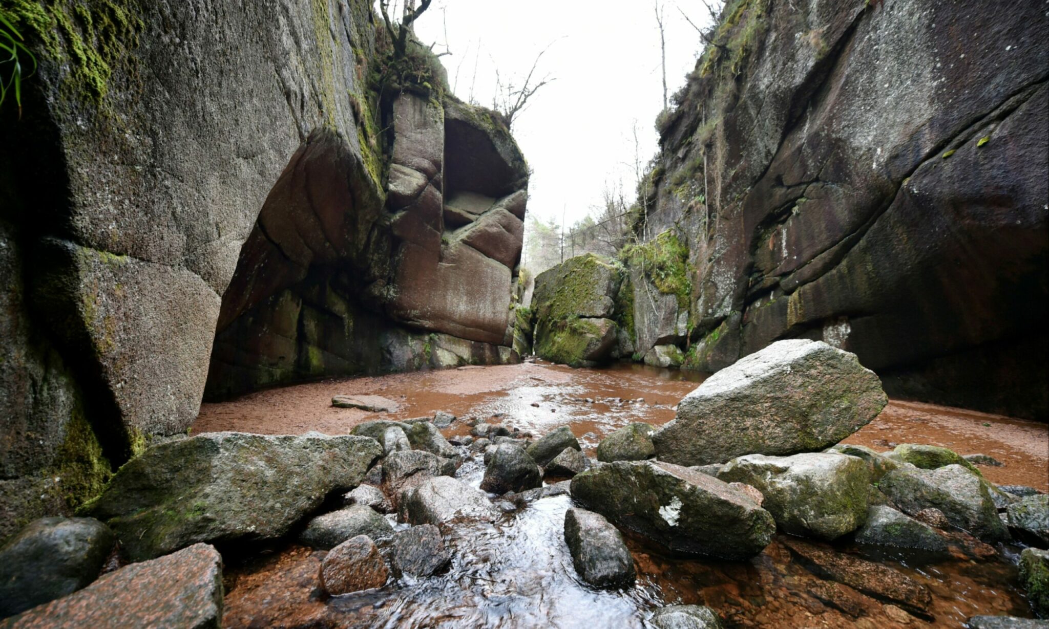 Deeside farm shop to offer fresh produce to locals and visitors