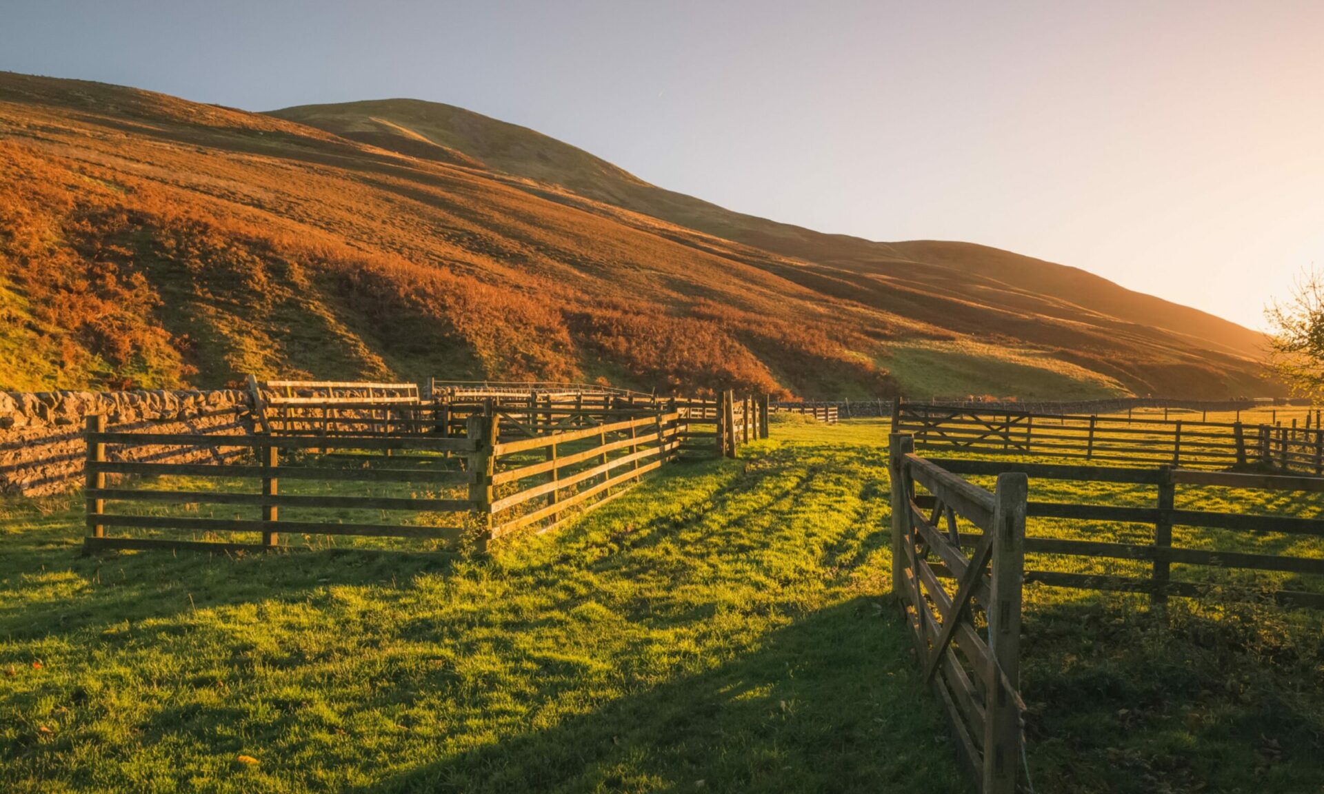 Scottish and UK Farming News | Press and Journal Farming