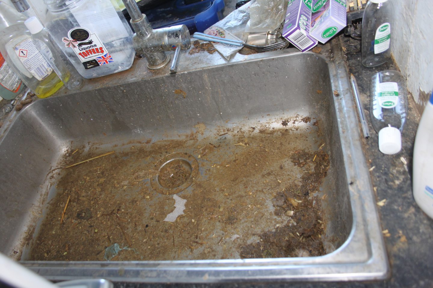 How 60 dogs were rescued from horrific Moray puppy farm