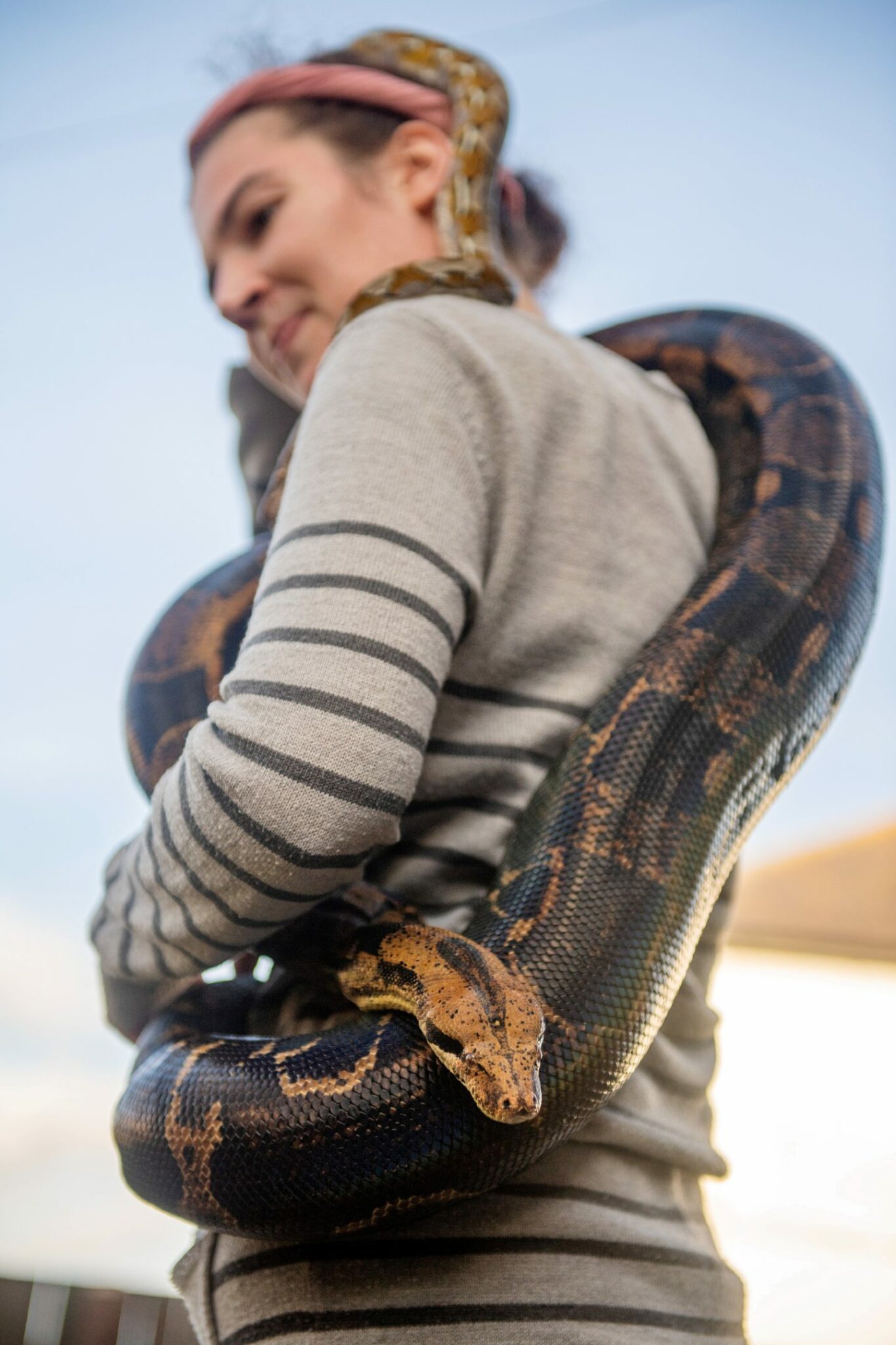 Meet the Aberdeenshire woman who lives with 18 reptiles