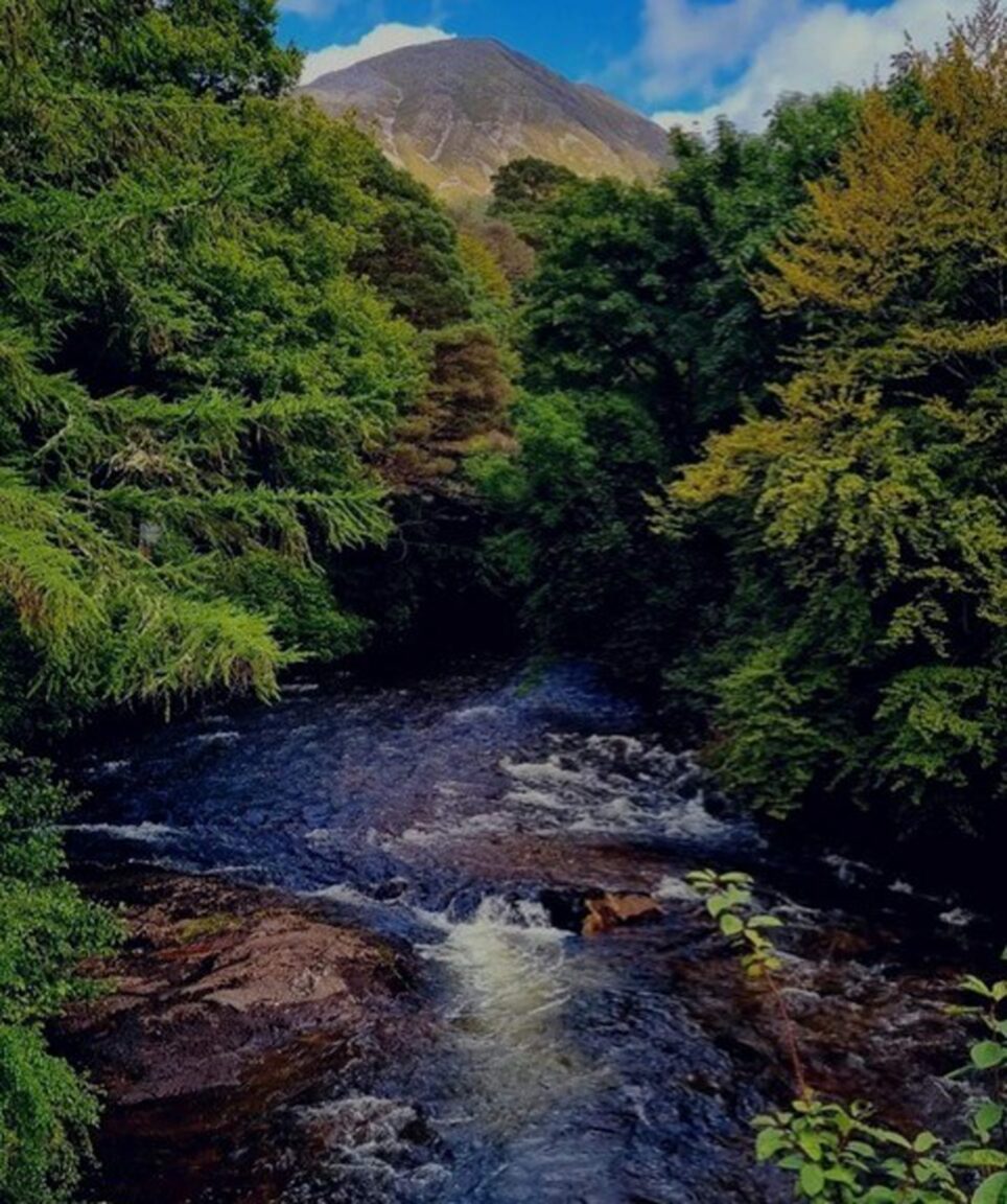 My Week in 5 Pictures - TikTok star Nati Dreddd shares insights into ...