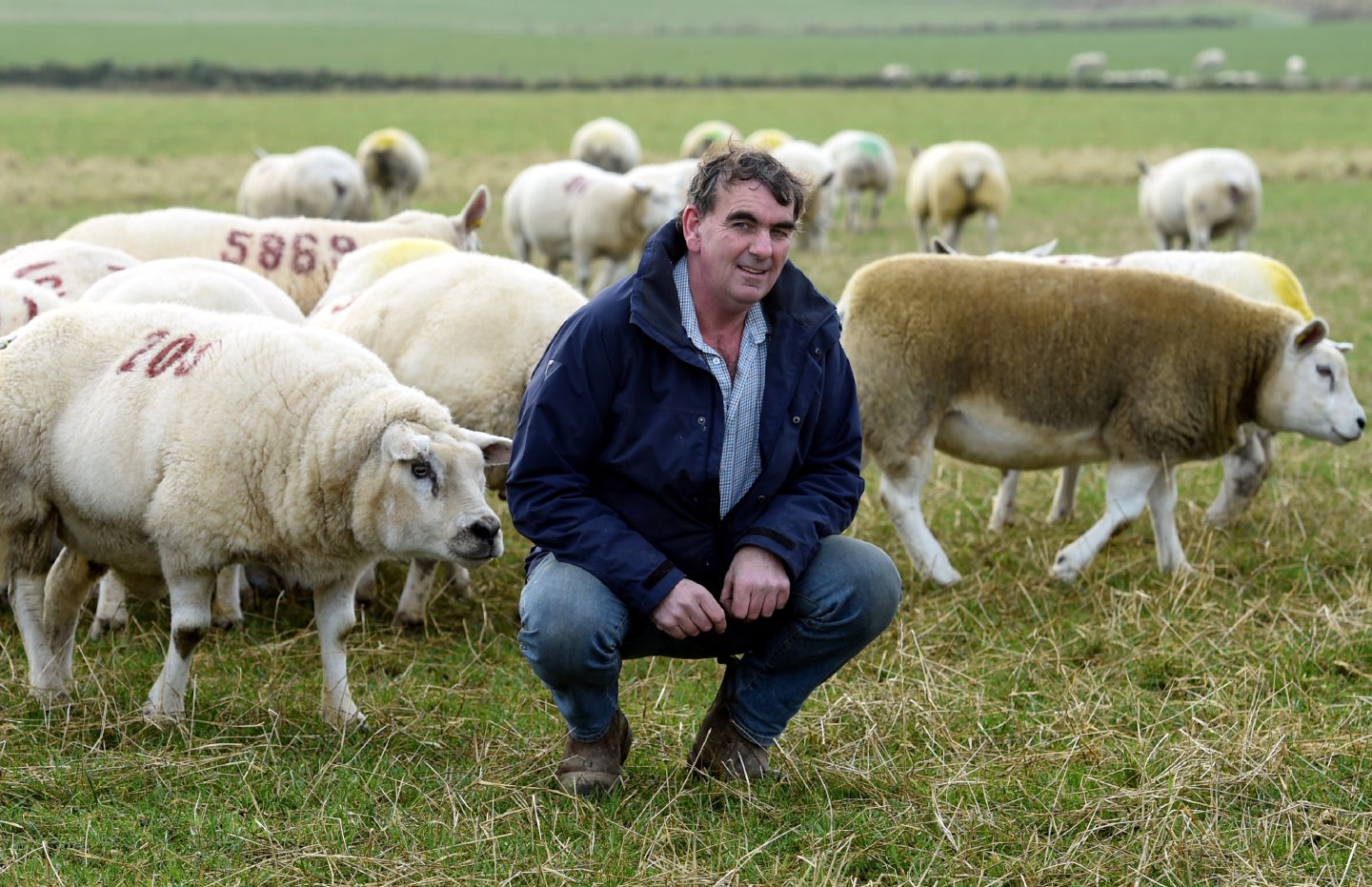 Sheep farmer's drunken assault on partner after day at Keith Show