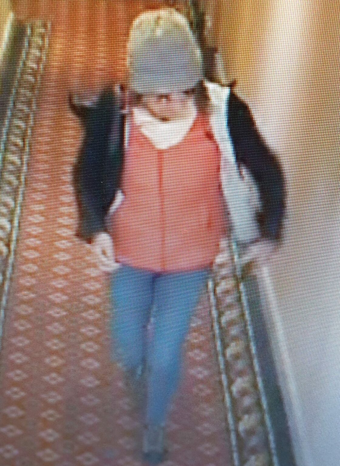 Missing Irish woman last seen in Stornoway travelled 15 miles north by ...