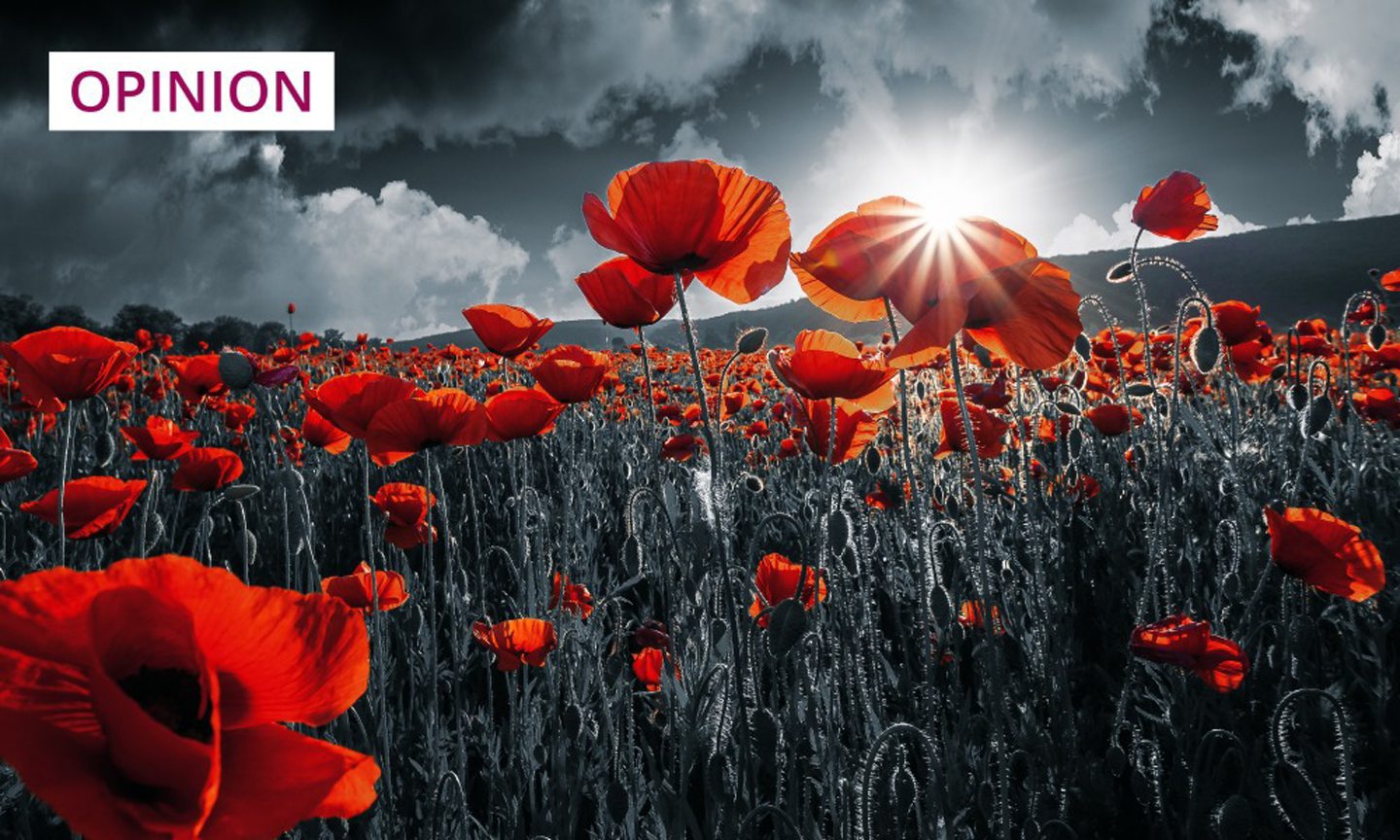 Catherine Deveney: We must never forget what the poppy means