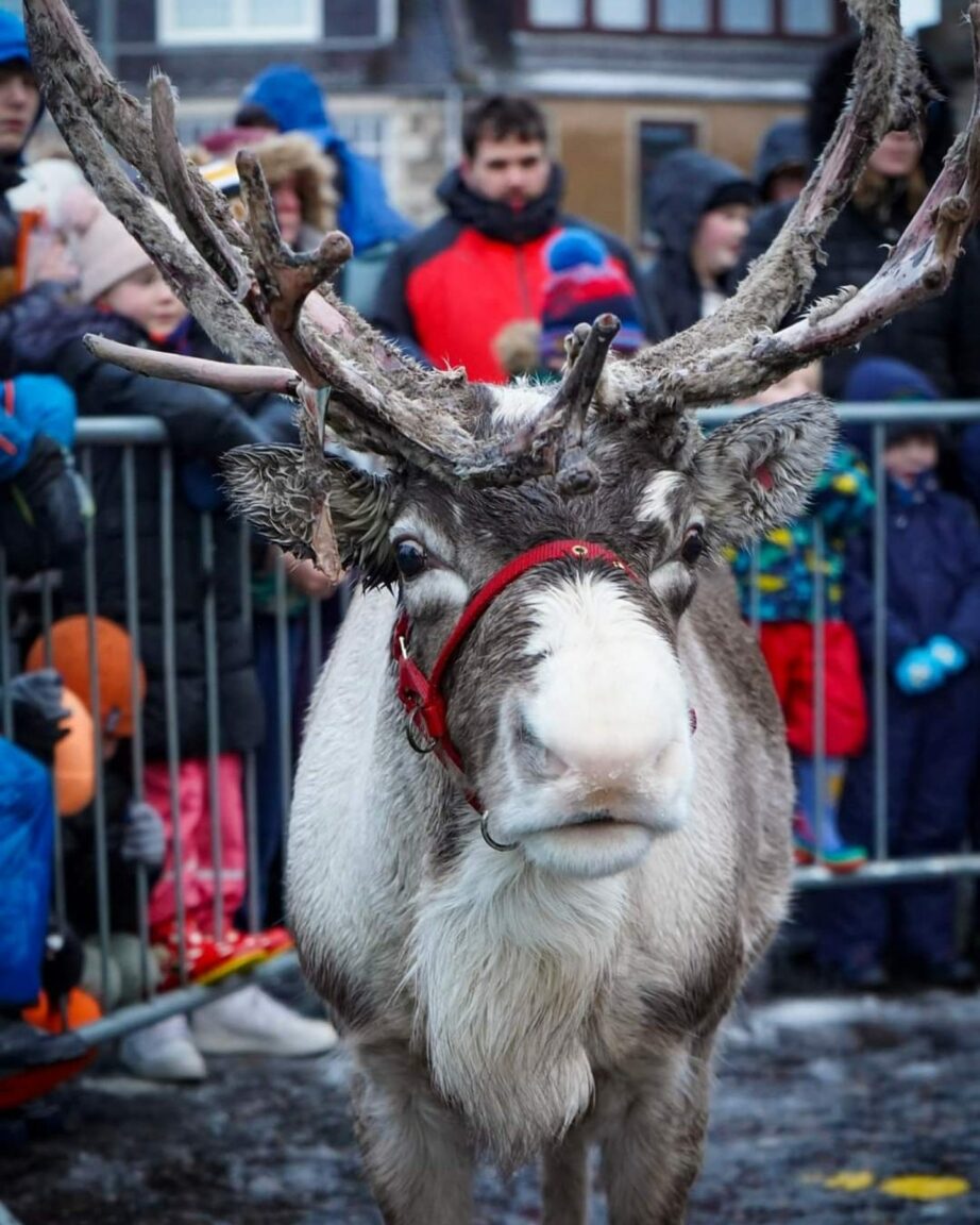 Inverurie Reindeer Parade delights as it returns for third year