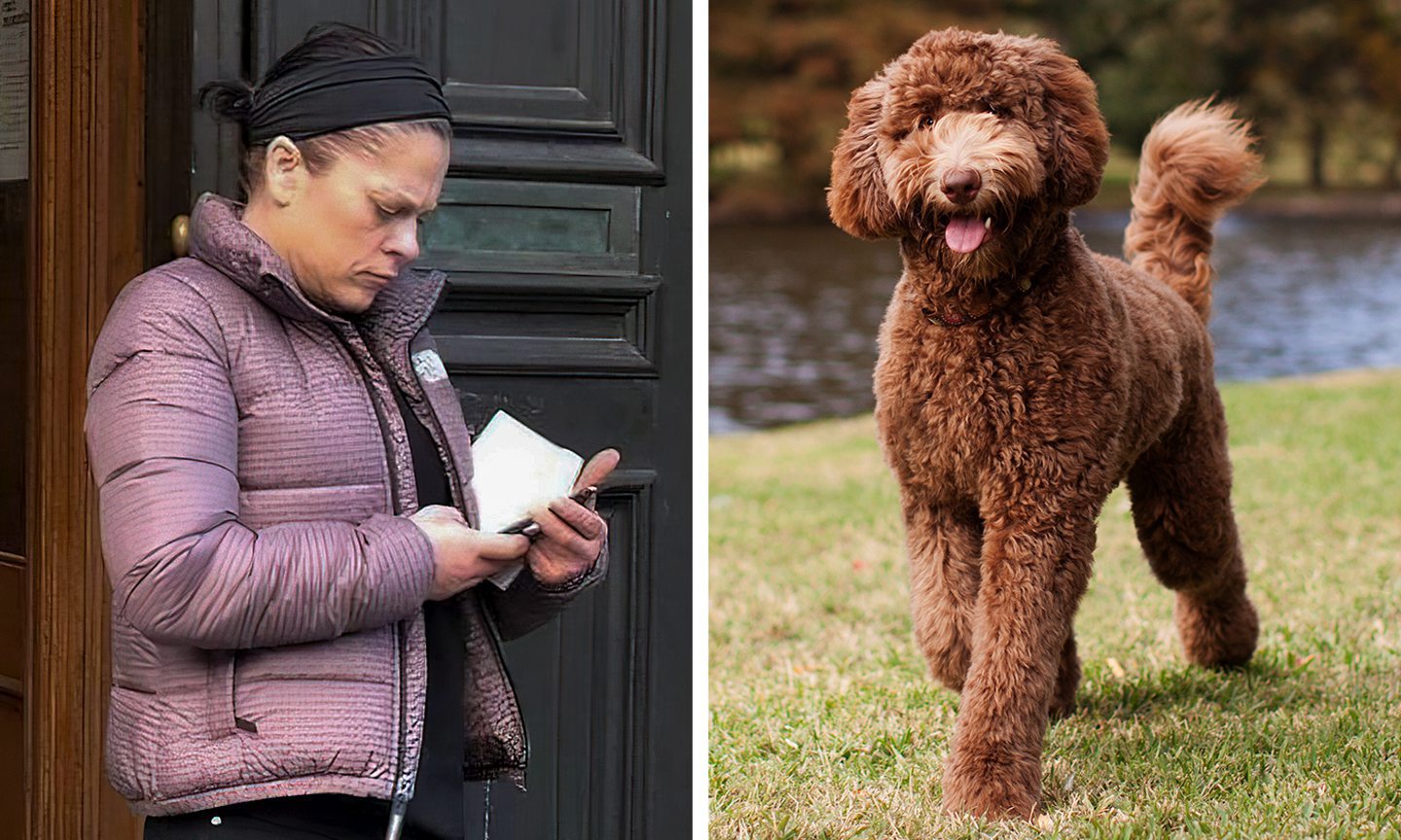 Puppy scammer preyed on lonely people during Covid lockdown