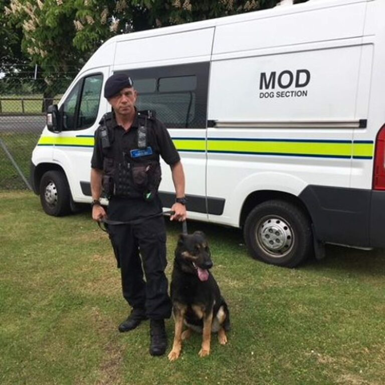 What's it really like being in the RAF Reserves? Find out here