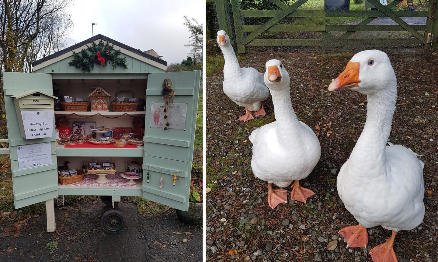 Crianlarich Crazy Goose Lady honesty box to be locked