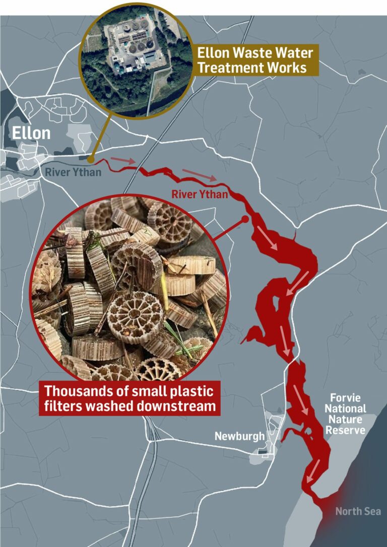 What caused the Ellon sewage treatment plant disaster?