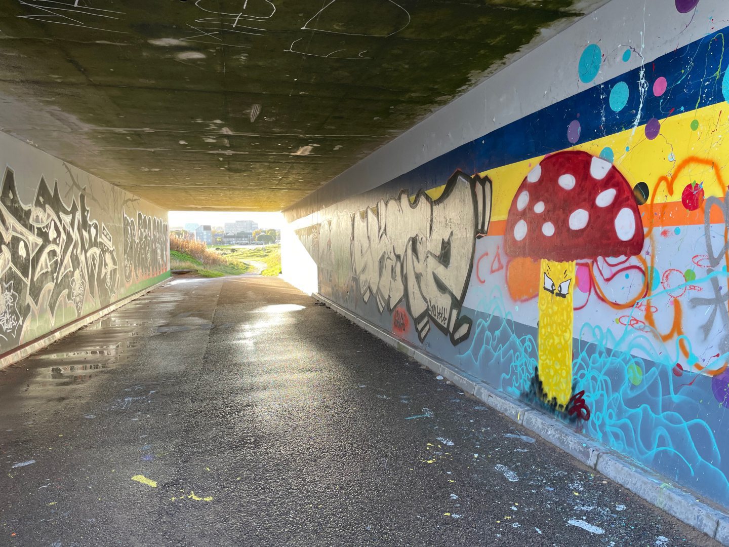 BBC Alba to air new documentary based on Aberdeen's street art festival