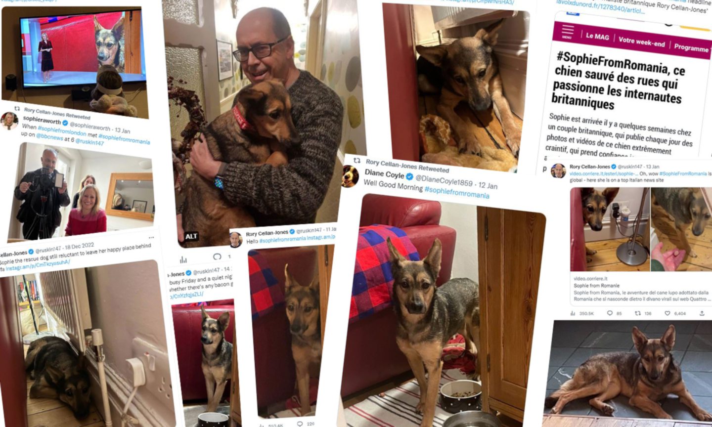 Meet the Aberdeenshire trainer of Twitter star Sophie from Romania