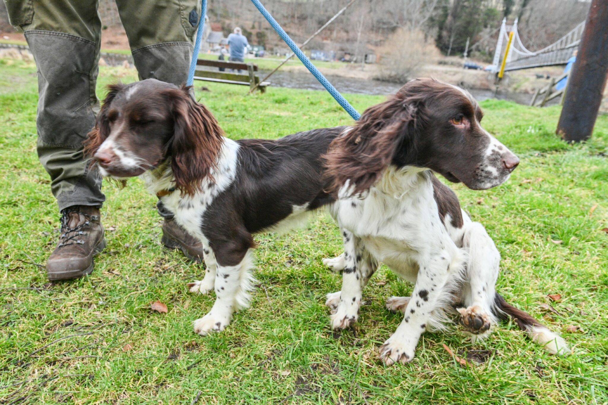 Anglers cast their lines as River Spey officially opens for new salmon ...