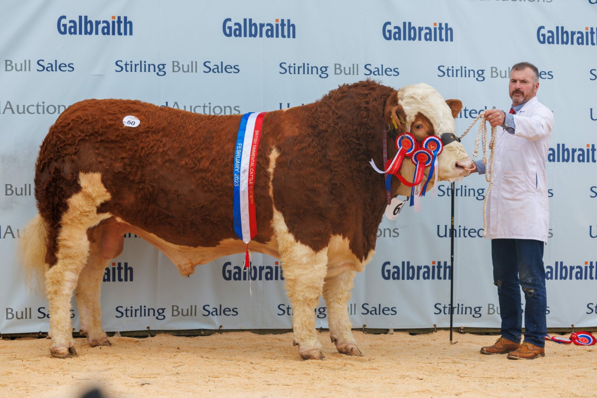 Stirling Bull Sales: Charolais breed leads the way at 30,000gns - Press ...
