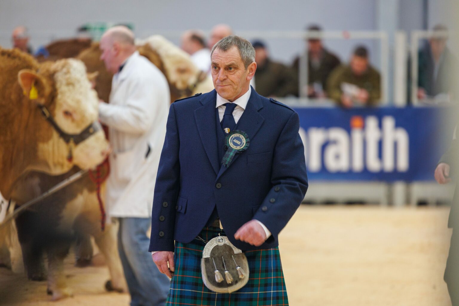 Stirling Bull Sales: Top awards in Simmentals go to Northern Ireland ...
