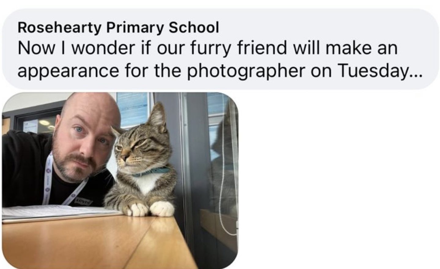 Meet Wilson the cat, the newest pupil at Rosehearty Primary School