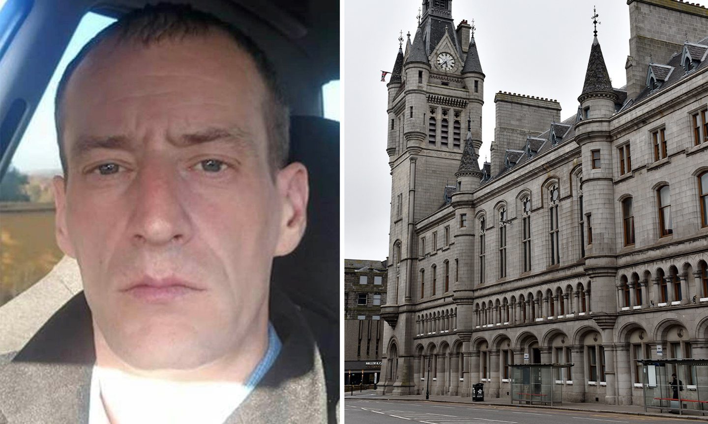 Dog-owner jailed after 'wanton cruelty' of bulldog and Staffy