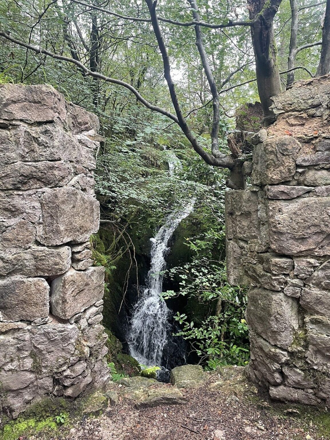 Heather Critchlow: Bennachie was inspiration for author's novel