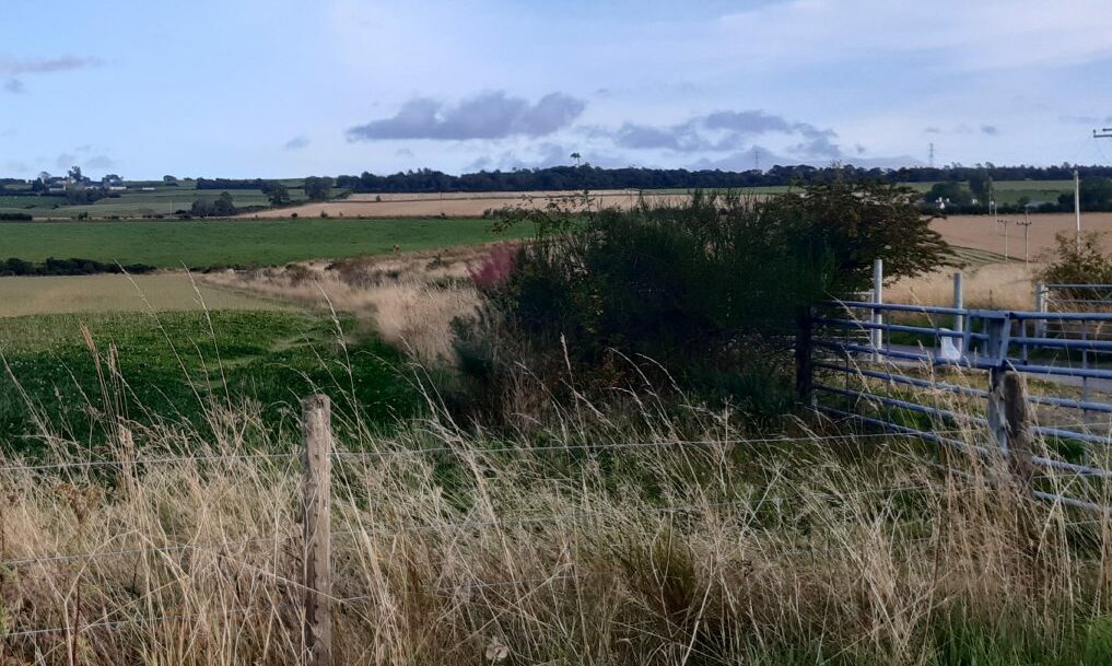 'Once in a lifetime opportunity' for Knocknagael Farm green hub.