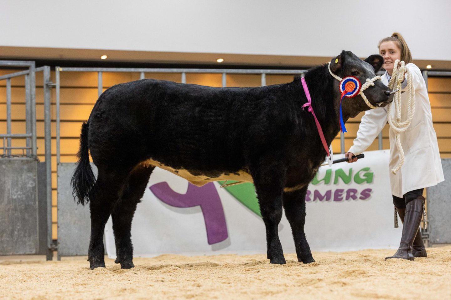 Young Farmers gear up for Thainstone overwintering