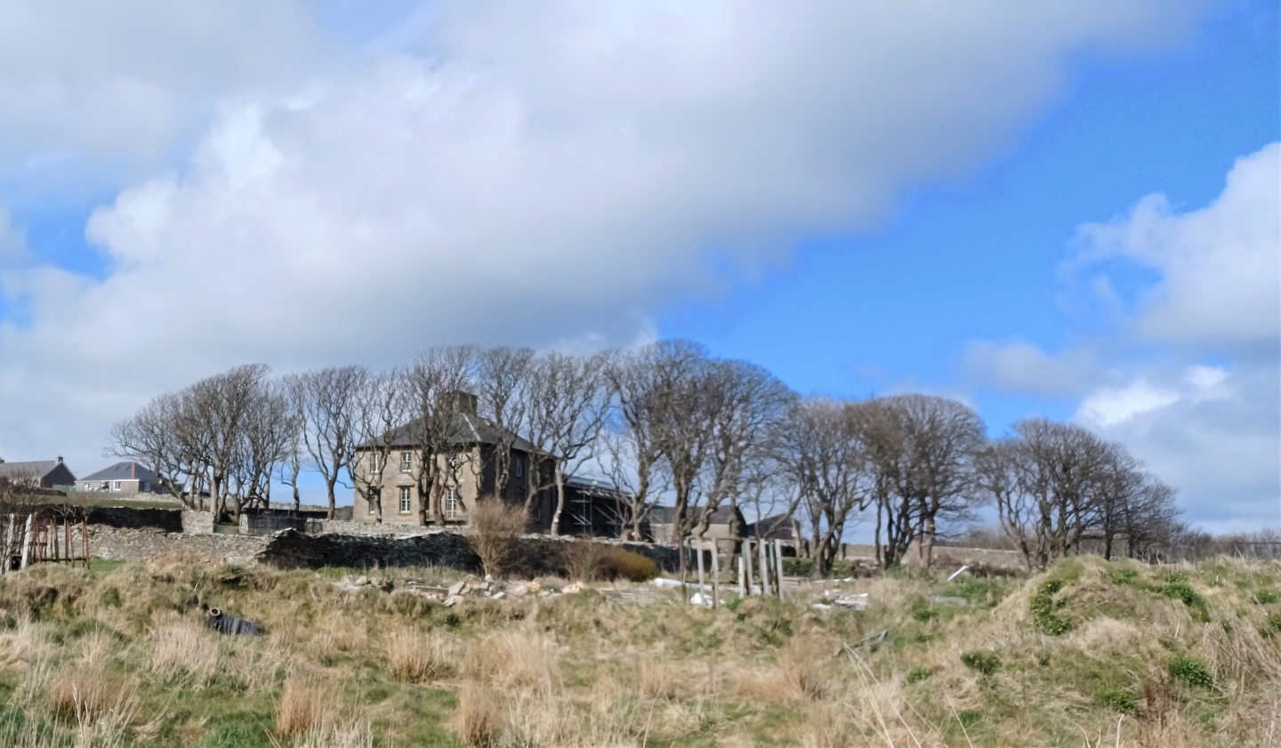Rare tree preservation order for Orkney