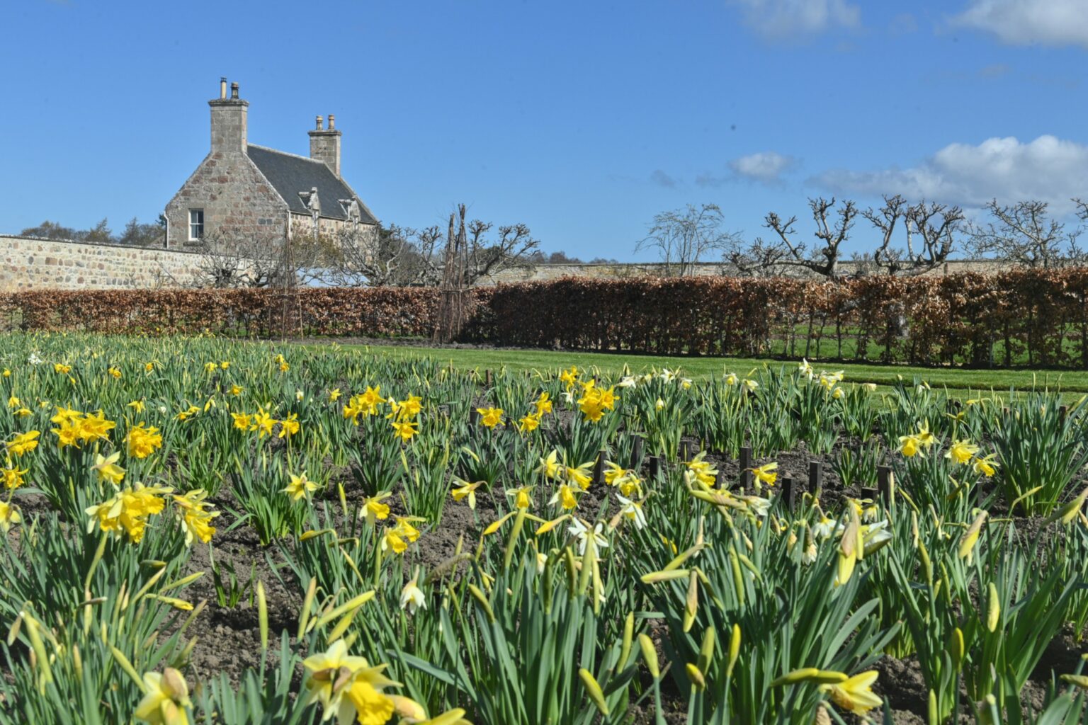GALLERY: Big bunny at heart of Easter fun at Brodie Castle - Press and ...
