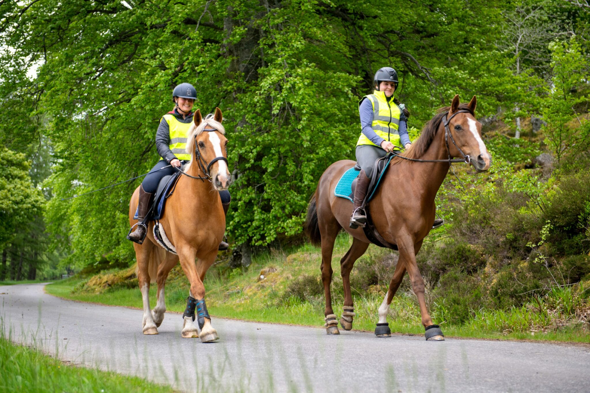 Pictures: Highland Pony Society Centenary Ride at Balmoral