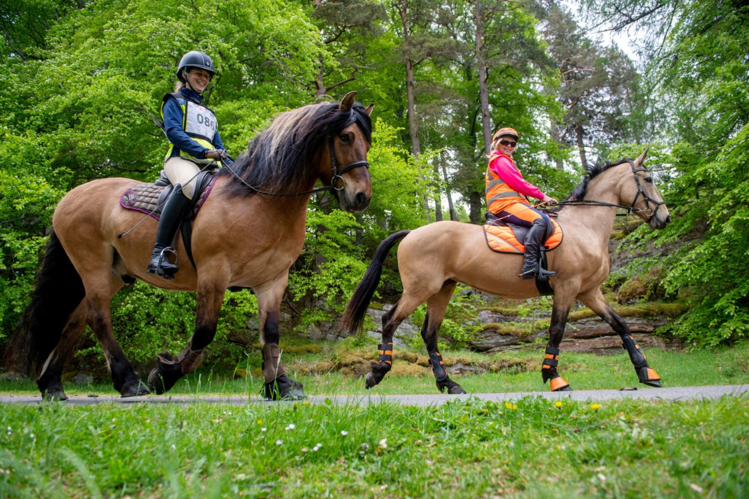 Pictures: Highland Pony Society Centenary Ride at Balmoral