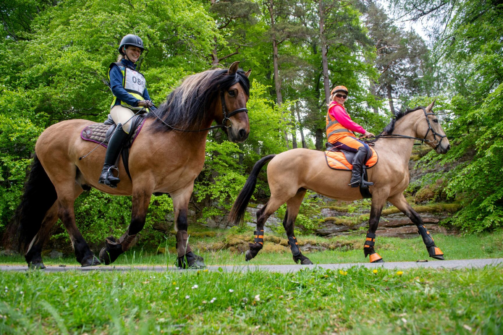 Pictures: Highland Pony Society Centenary Ride at Balmoral
