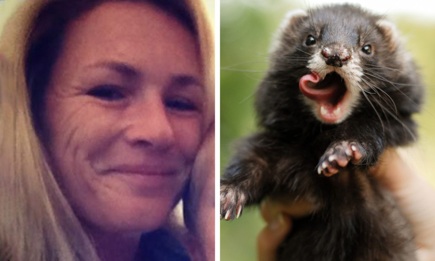 Woman who thrust ferret at ex relieved after avoiding punishment