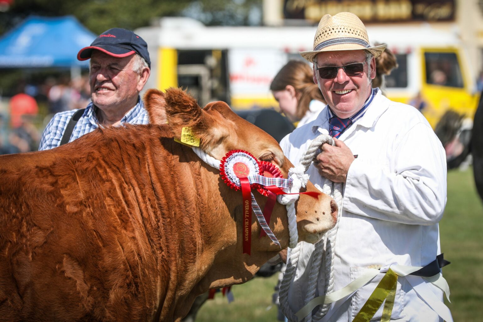 Judges ready to pick their champions this summer
