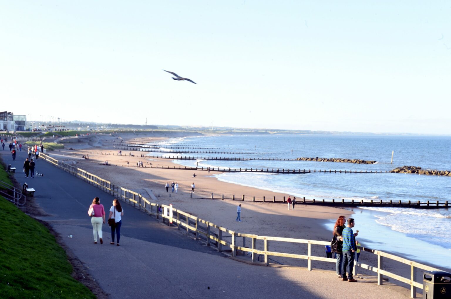 23 things to do in Aberdeen from dolphin watching to the beach