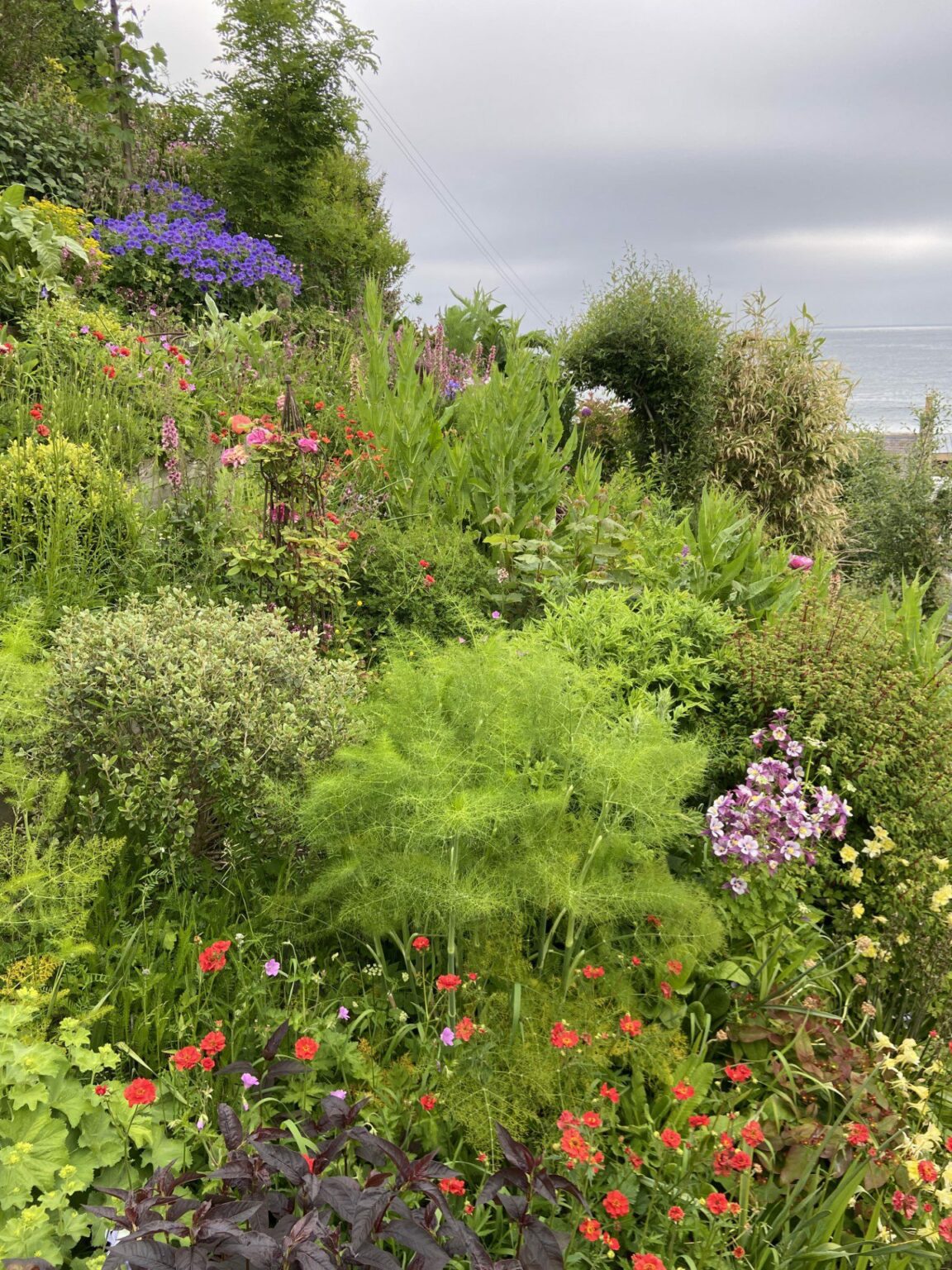 Scott Smith invites garden fans to explore some hidden gems - Press and ...