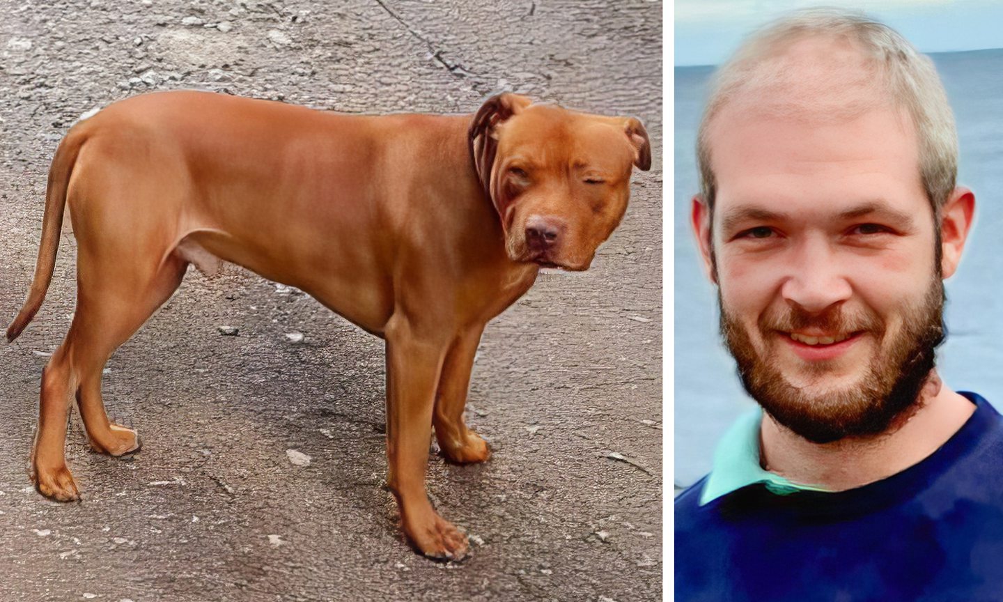 Danger dog facing death after biting Laurencekirk tradesman