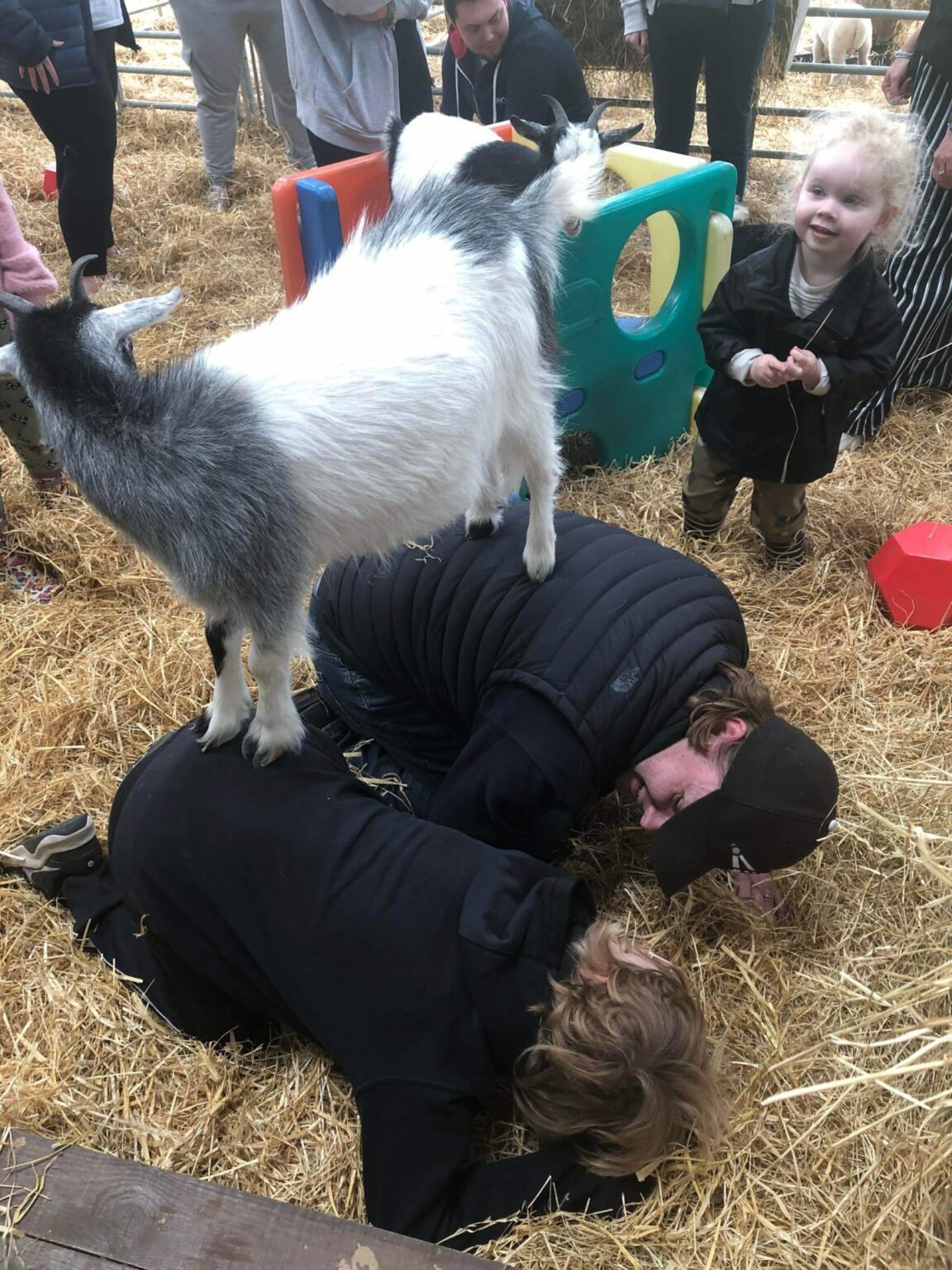 Farm Stop in Portlethen is a must-visit for families