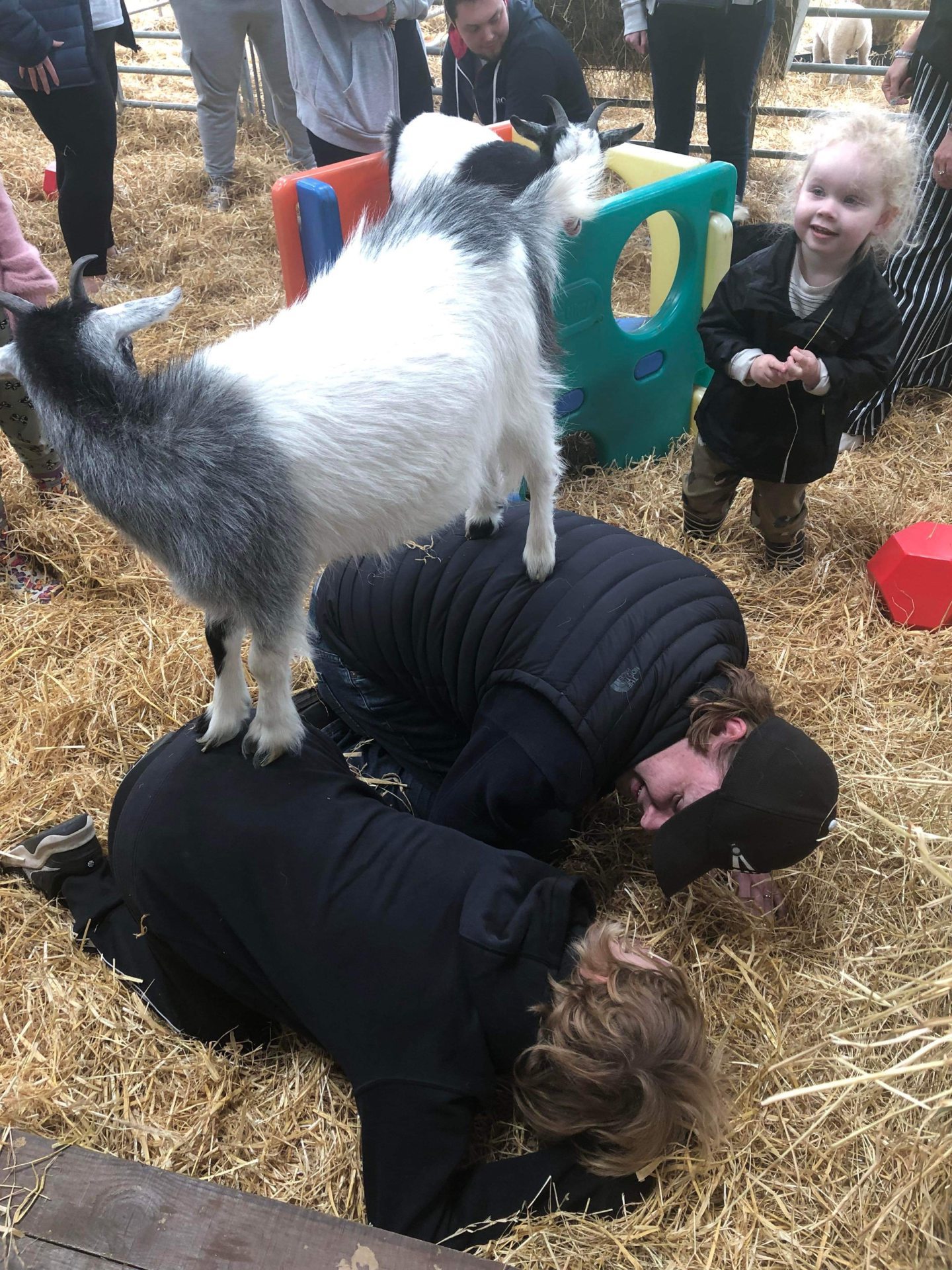 Farm Stop in Portlethen is a must-visit for families
