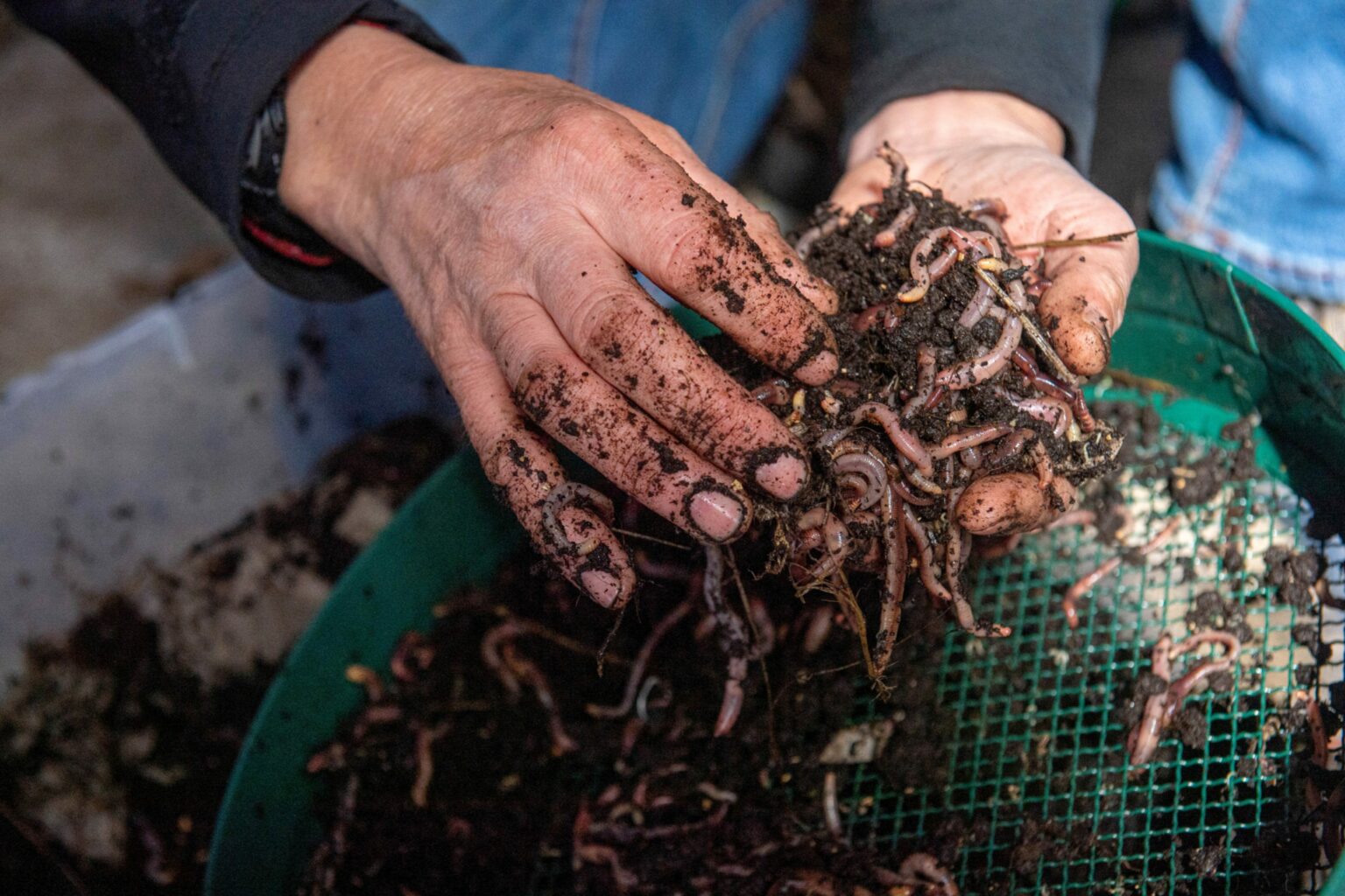 Scott Baxter: Meet Aberdeenshire worm farmer selling worm poo