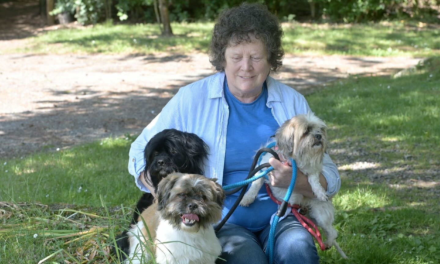 Munlochy Animal Aid needs help to rehome dogs