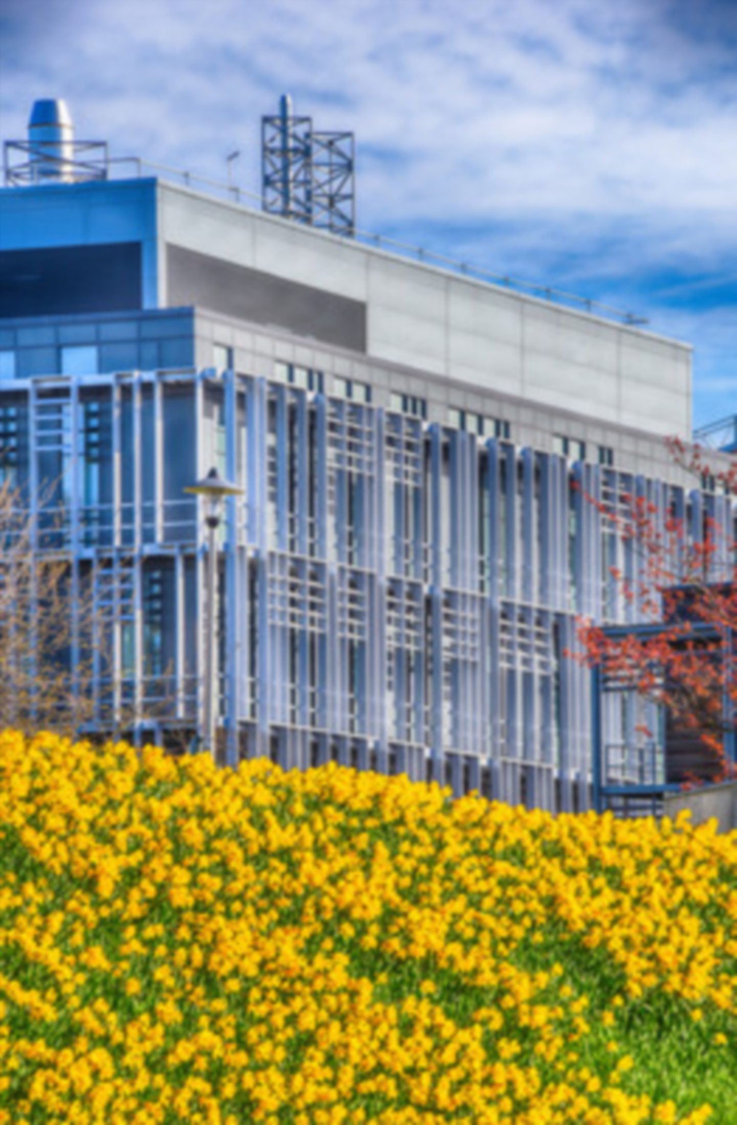 Rowett Institute plays leading role in tackling global food challenges