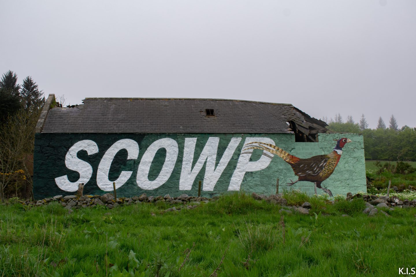 Who is behind giant Doric pheasant mural at Kirkhill Forest?