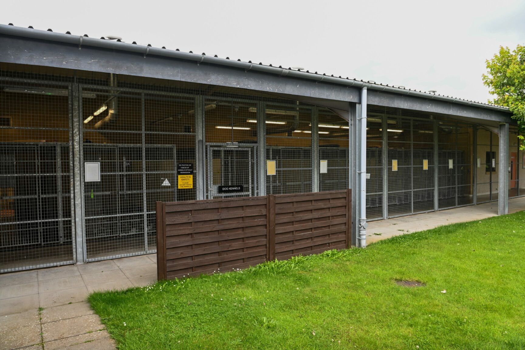 Scottish SPCA 'runs out of time' to rehome XL bully dogs